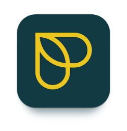 Business Online Banking | Pentucket Bank